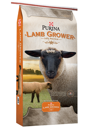 Purina® Lamb Grower - Calverton, NY - Neptune Feed & Saddlery