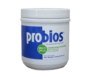 Probios Probiotic Supplement - Calverton, NY - Neptune Feed & Saddlery